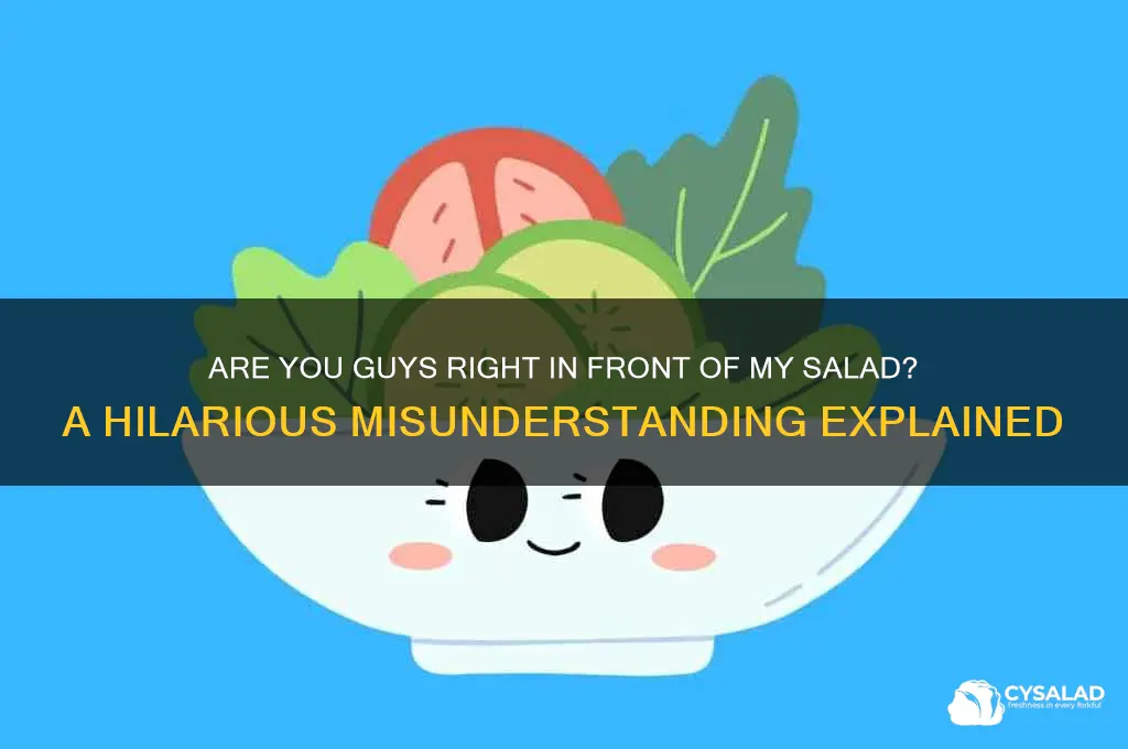 Are You Guys Right In Front Of My Salad? A Hilarious Misunderstanding ...