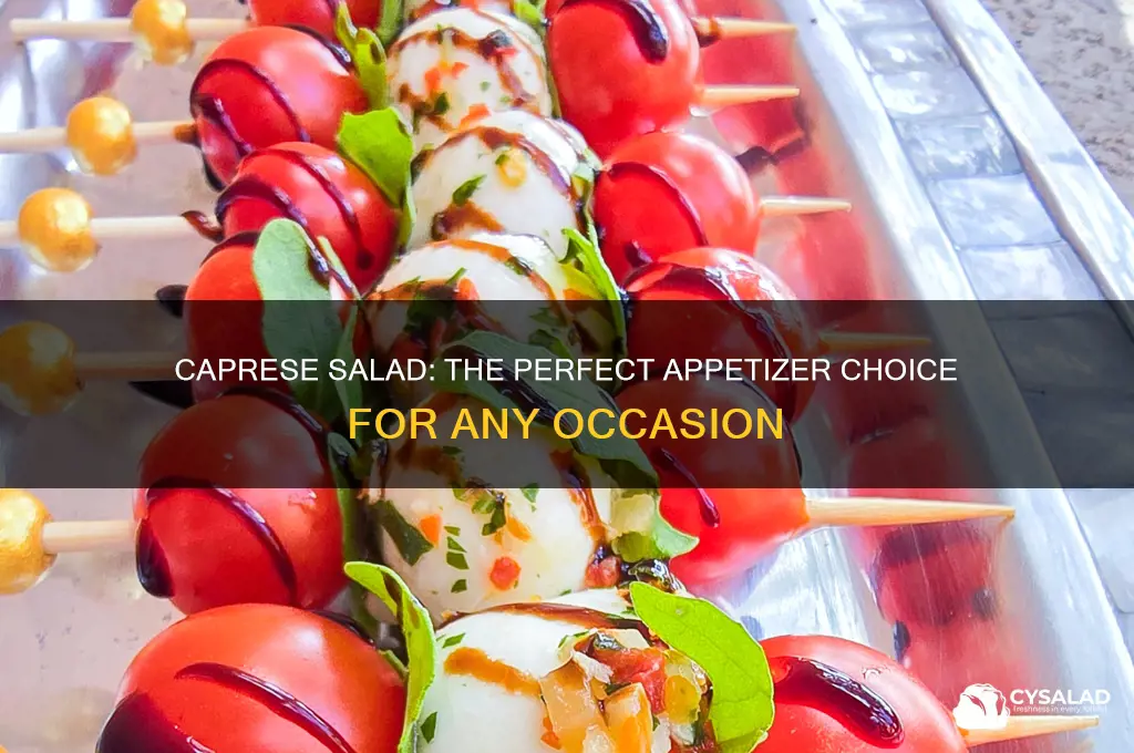 Caprese Salad: The Perfect Appetizer Choice For Any Occasion | CySalad