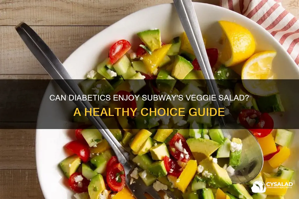Can Diabetics Enjoy Subway's Veggie Salad? A Healthy Choice Guide | CySalad