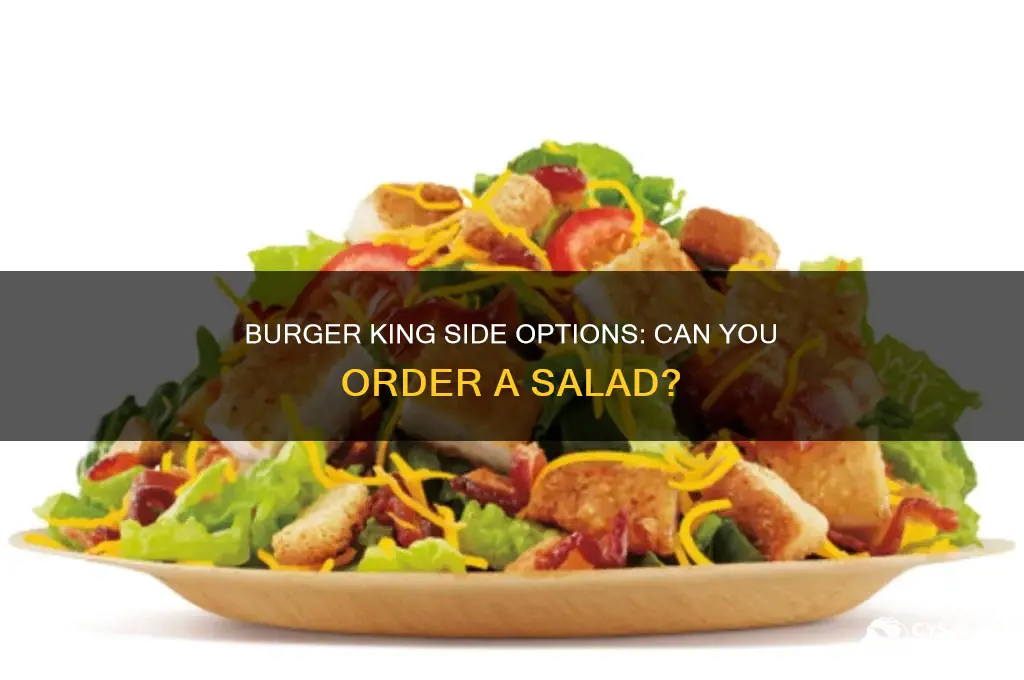 Burger King Side Options: Can You Order A Salad? | CySalad