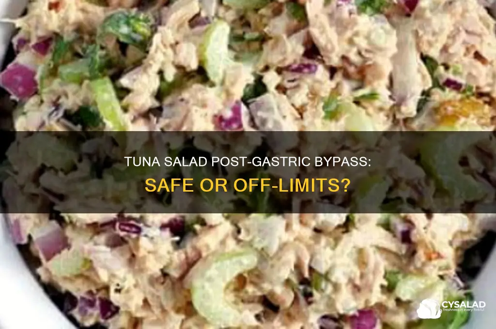 Tuna Salad Post-Gastric Bypass: Safe Or Off-Limits? | CySalad