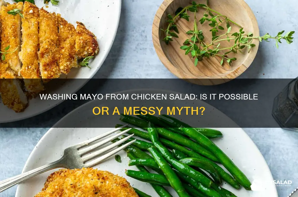 Washing Mayo From Chicken Salad: Is It Possible Or A Messy Myth? | CySalad
