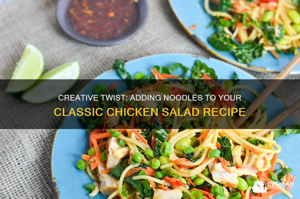Creative Twist: Adding Noodles To Your Classic Chicken Salad Recipe ...