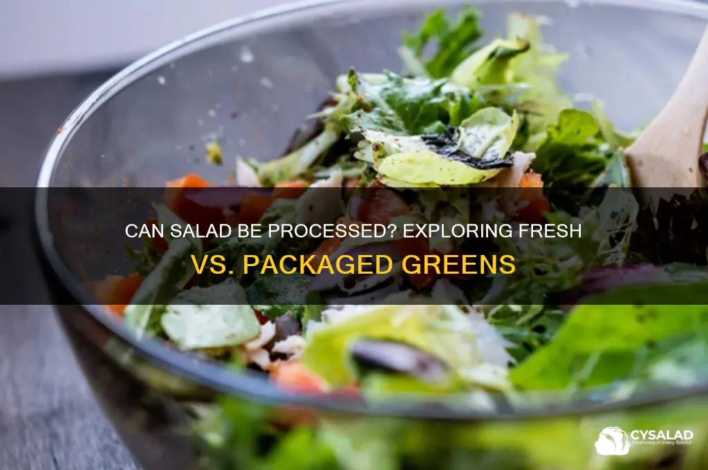Can Salad Be Processed? Exploring Fresh Vs. Packaged Greens | CySalad