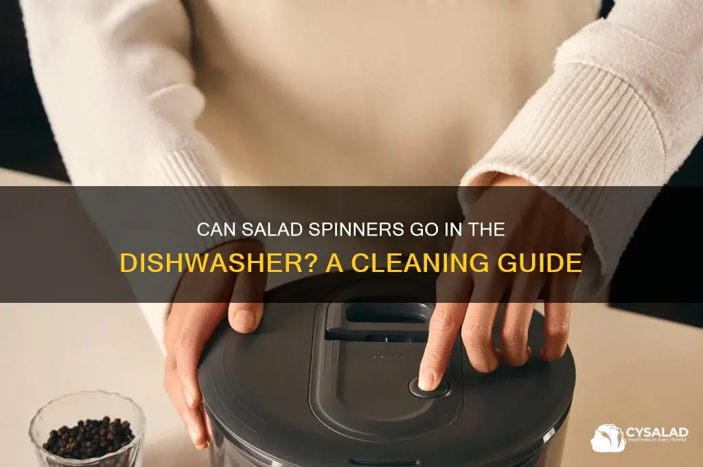 Can Salad Spinners Go In The Dishwasher? A Cleaning Guide | CySalad