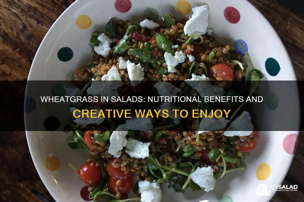 Wheatgrass In Salads: Nutritional Benefits And Creative Ways To Enjoy ...