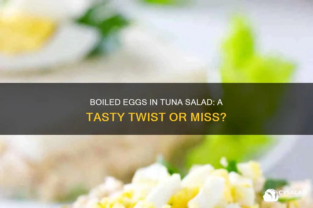 Boiled Eggs In Tuna Salad: A Tasty Twist Or Miss? | CySalad