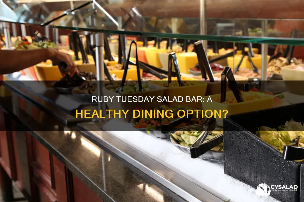 Ruby Tuesday Salad Bar: A Healthy Dining Option? | CySalad