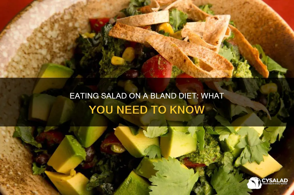 Eating Salad On A Bland Diet: What You Need To Know | CySalad