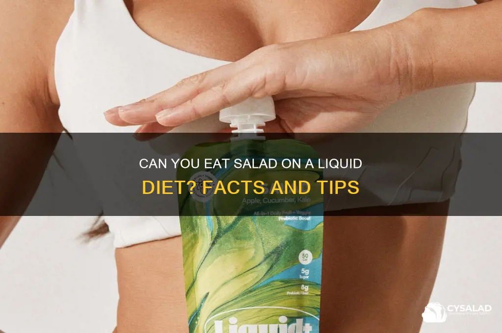 Can You Eat Salad On A Liquid Diet? Facts And Tips | CySalad