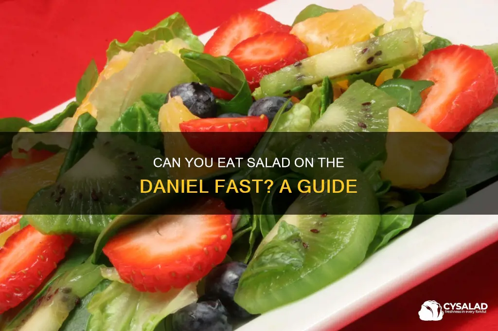 Can You Eat Salad On The Daniel Fast? A Guide | CySalad