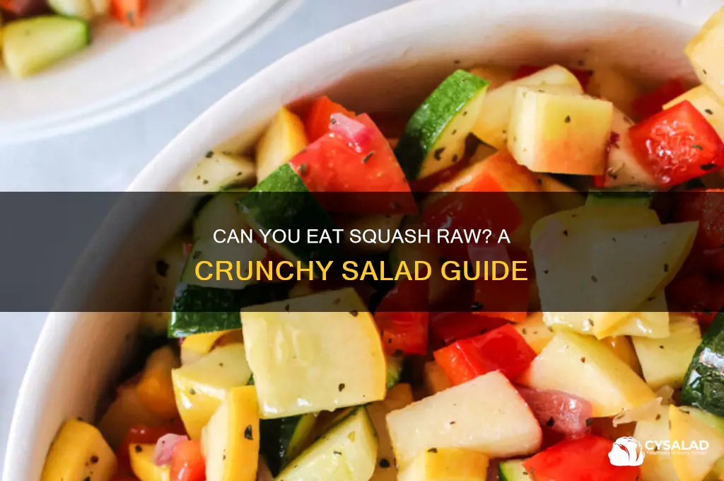 Can You Eat Squash Raw? A Crunchy Salad Guide | CySalad
