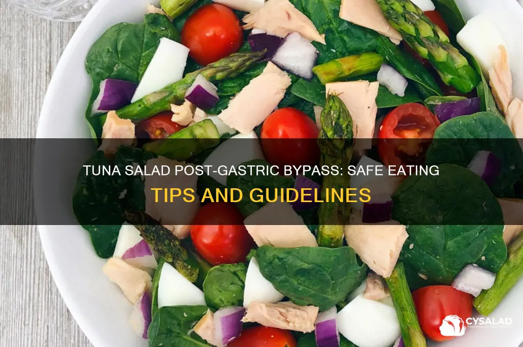 Tuna Salad Post-Gastric Bypass: Safe Eating Tips And Guidelines | CySalad