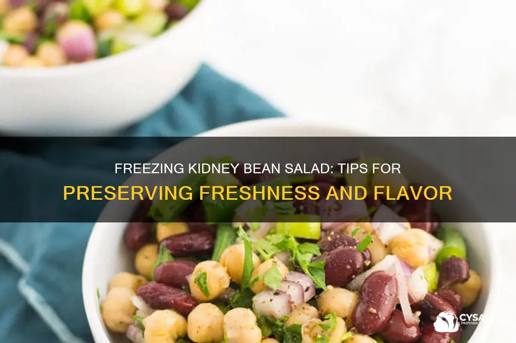 Freezing Kidney Bean Salad: Tips For Preserving Freshness And Flavor ...