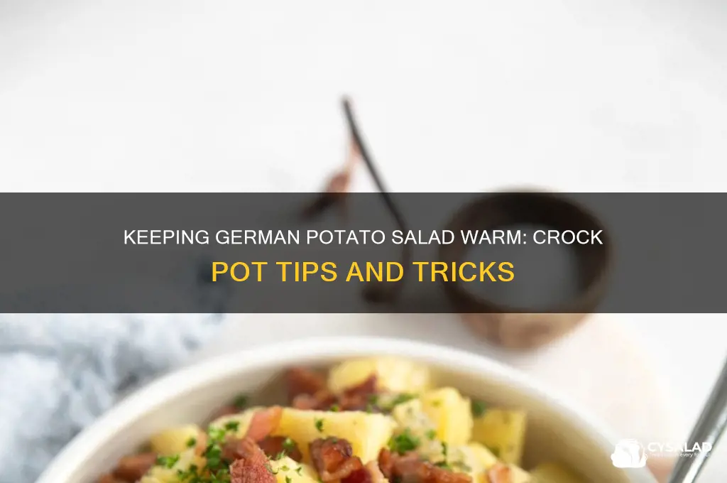 Keeping German Potato Salad Warm: Crock Pot Tips And Tricks | CySalad