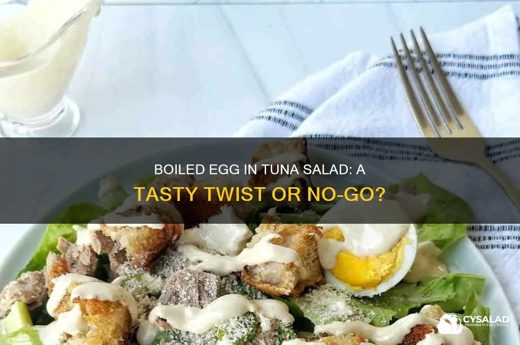Boiled Egg In Tuna Salad: A Tasty Twist Or No-Go? | CySalad