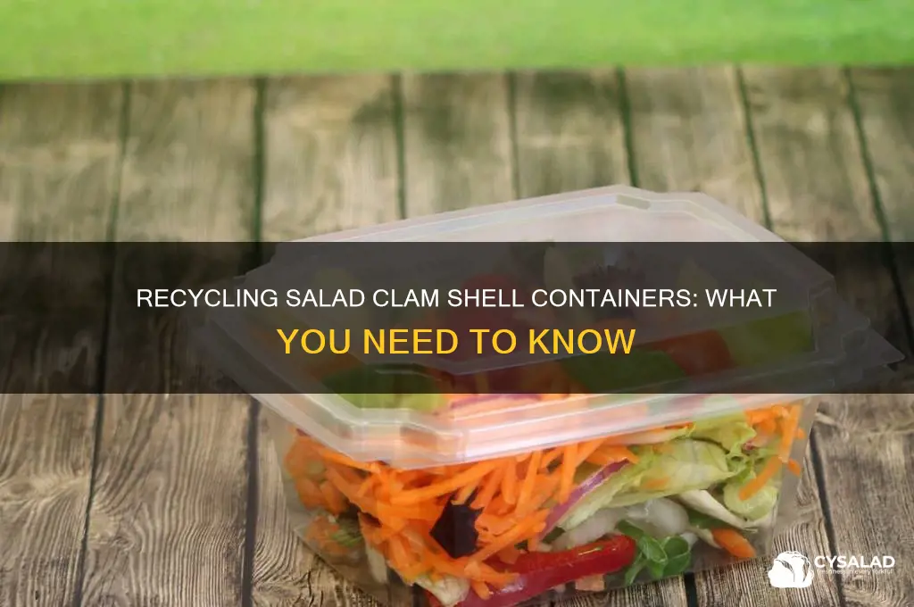 Recycling Salad Clam Shell Containers: What You Need To Know | CySalad