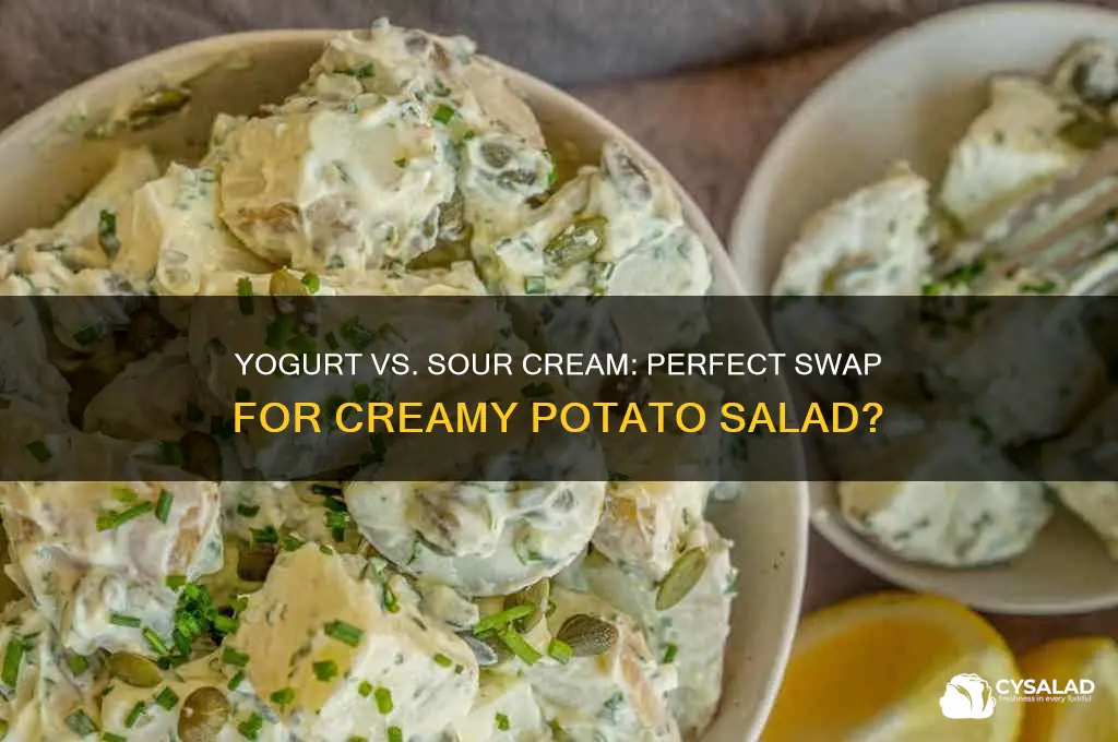 Yogurt Vs. Sour Cream: Perfect Swap For Creamy Potato Salad? | CySalad
