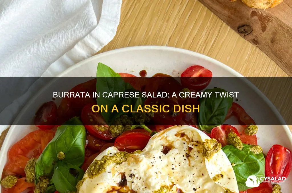 Burrata In Caprese Salad: A Creamy Twist On A Classic Dish | CySalad
