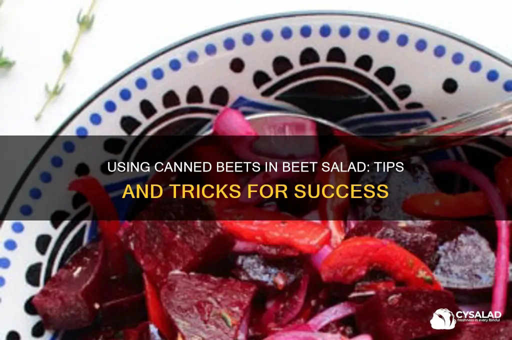 Using Canned Beets In Beet Salad: Tips And Tricks For Success | CySalad