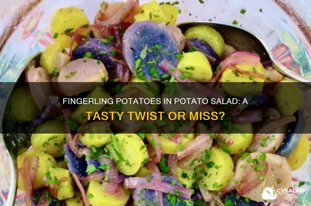 Fingerling Potatoes In Potato Salad: A Tasty Twist Or Miss? | CySalad