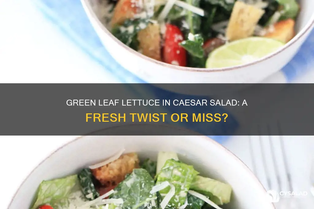 Green Leaf Lettuce In Caesar Salad: A Fresh Twist Or Miss? | CySalad