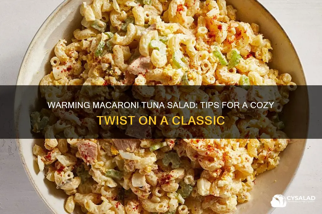 Warming Macaroni Tuna Salad: Tips For A Cozy Twist On A Classic | CySalad