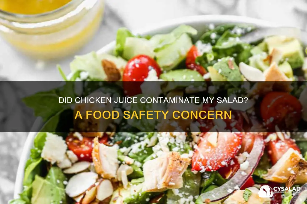 Did Chicken Juice Contaminate My Salad? A Food Safety Concern | CySalad