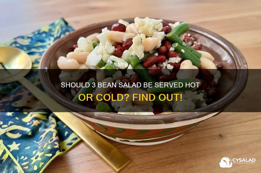 Should 3 Bean Salad Be Served Hot Or Cold? Find Out! | CySalad