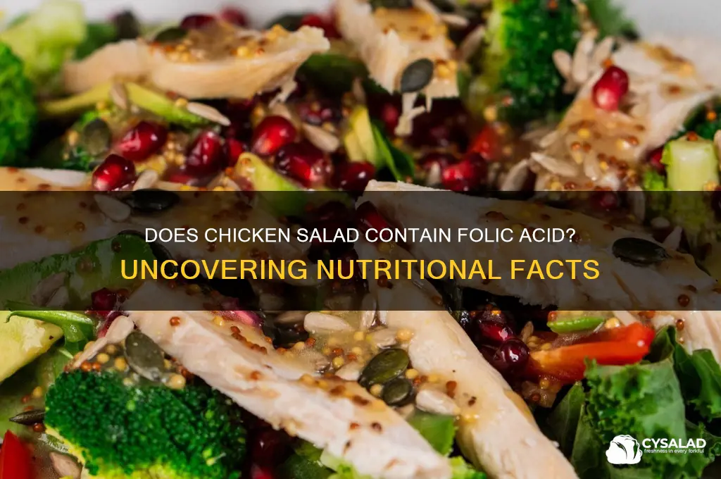 Does Chicken Salad Contain Folic Acid? Uncovering Nutritional Facts ...