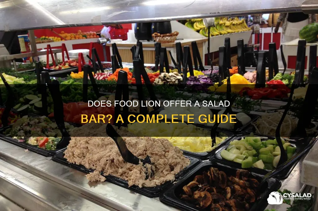 Does Food Lion Offer A Salad Bar? A Complete Guide | CySalad