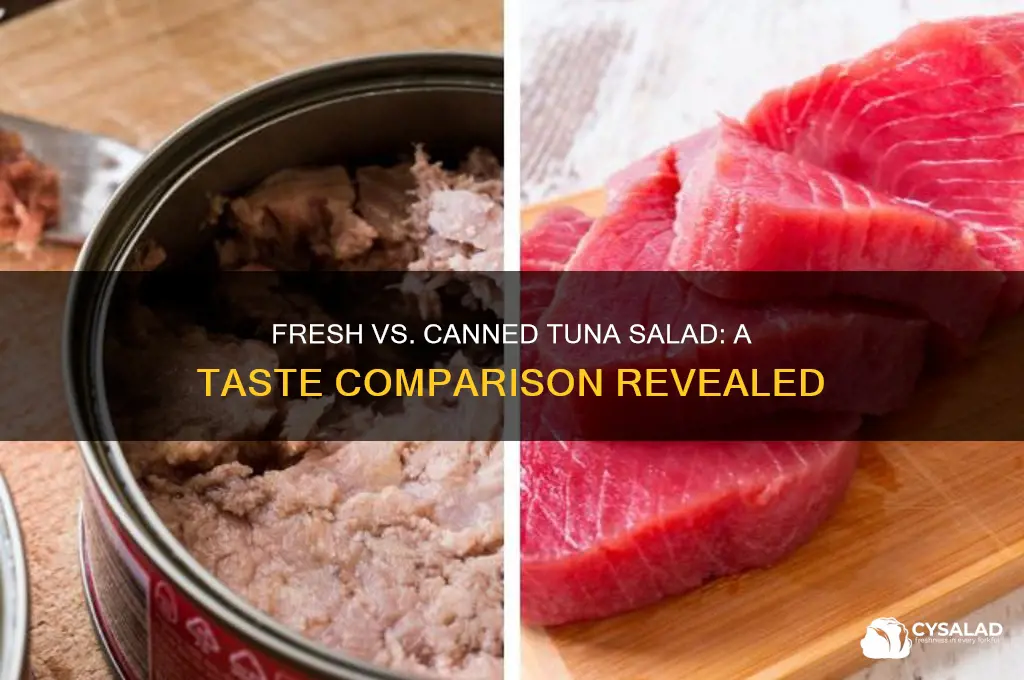 Fresh Vs. Canned Tuna Salad: A Taste Comparison Revealed | CySalad