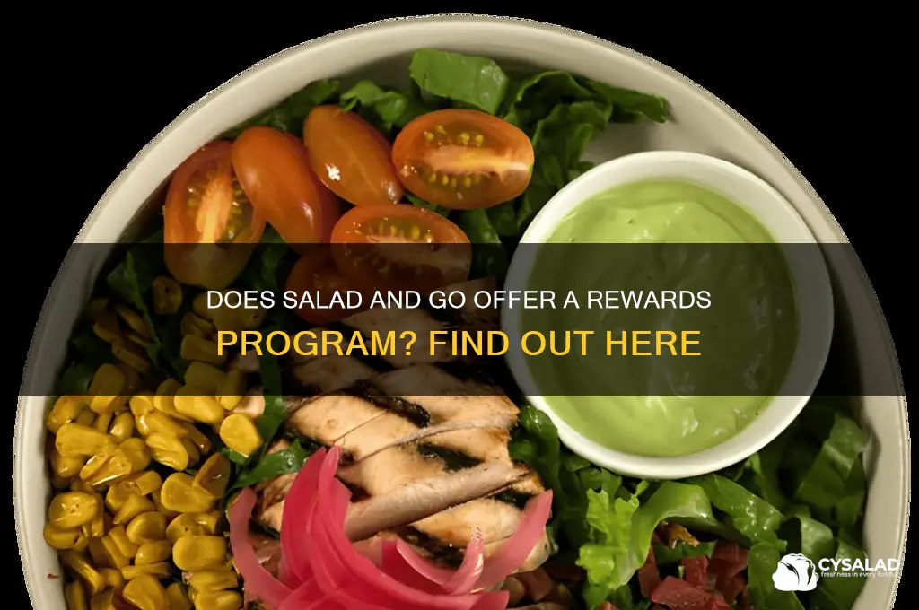 Does Salad And Go Offer A Rewards Program? Find Out Here | CySalad