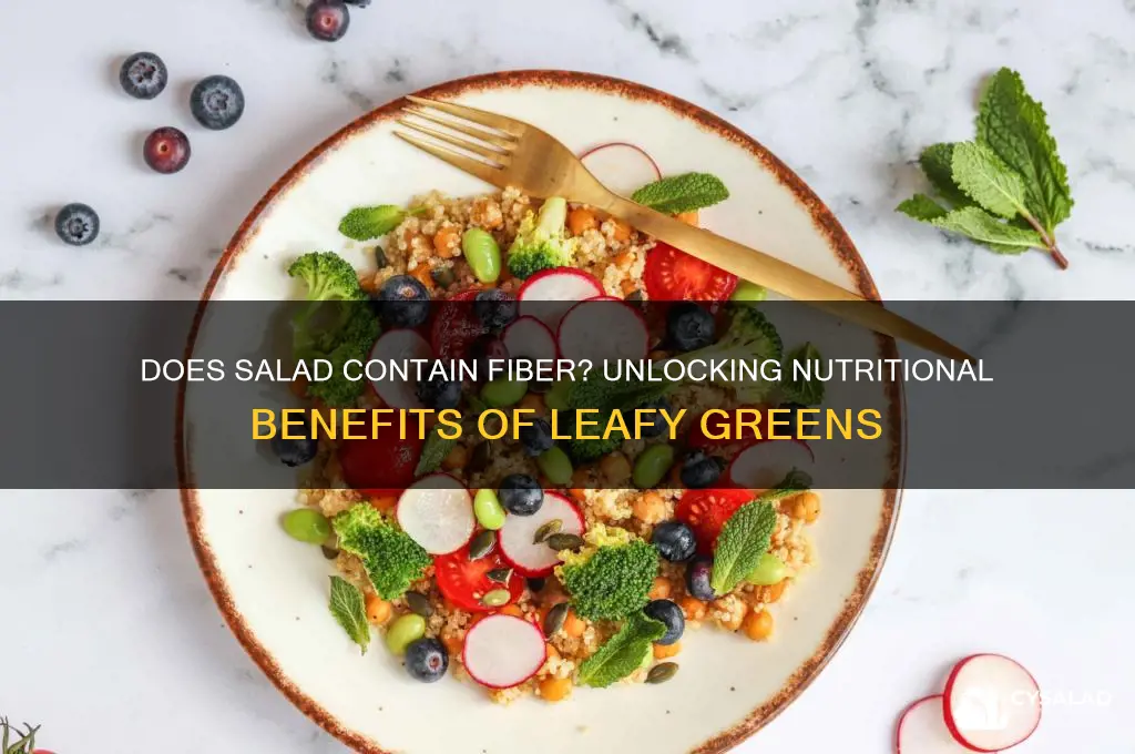 Does Salad Contain Fiber? Unlocking Nutritional Benefits Of Leafy ...