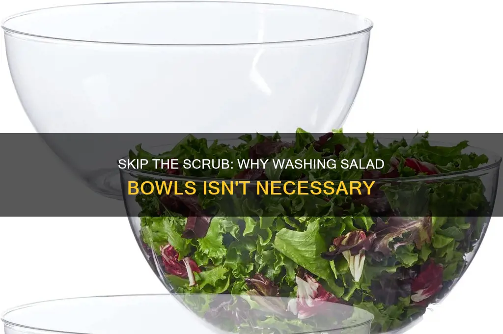 Skip The Scrub: Why Washing Salad Bowls Isn't Necessary | CySalad