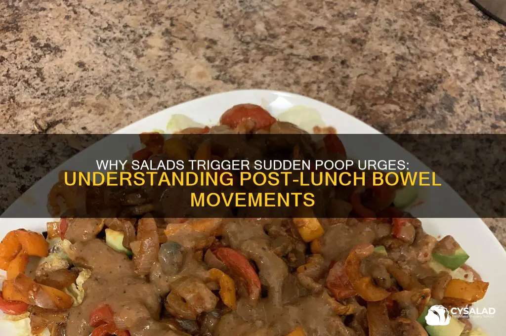 Why Salads Trigger Sudden Poop Urges: Understanding Post-Lunch Bowel ...
