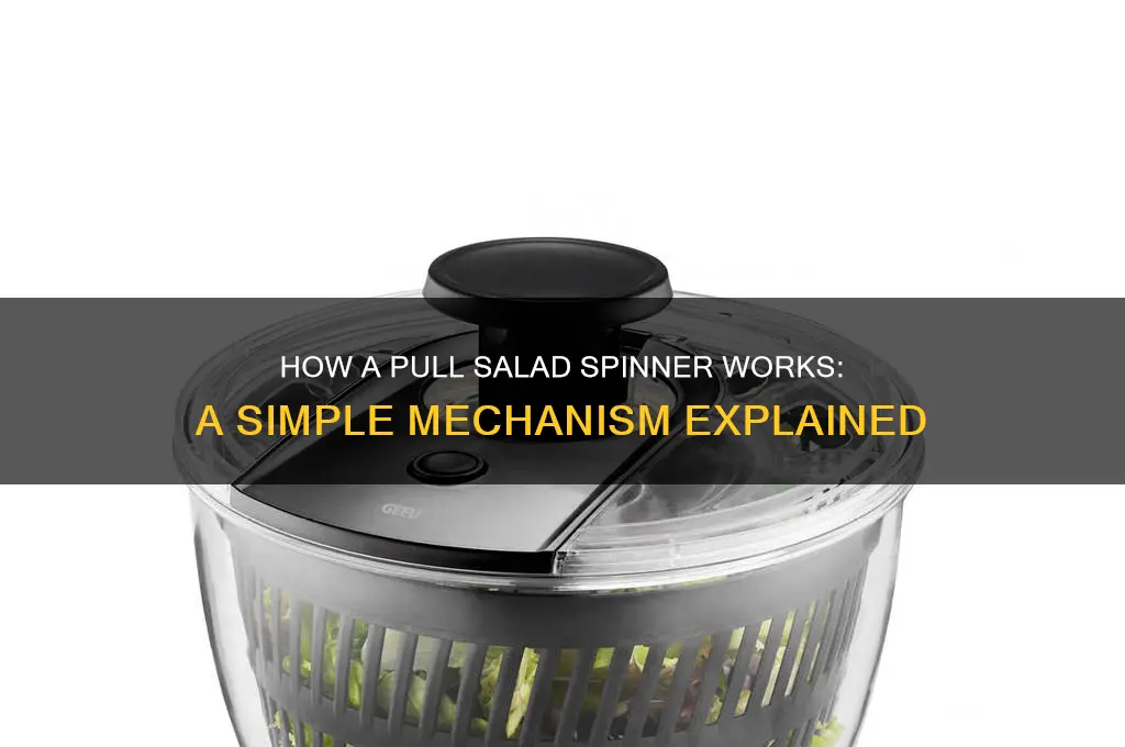 How A Pull Salad Spinner Works: A Simple Mechanism Explained | CySalad