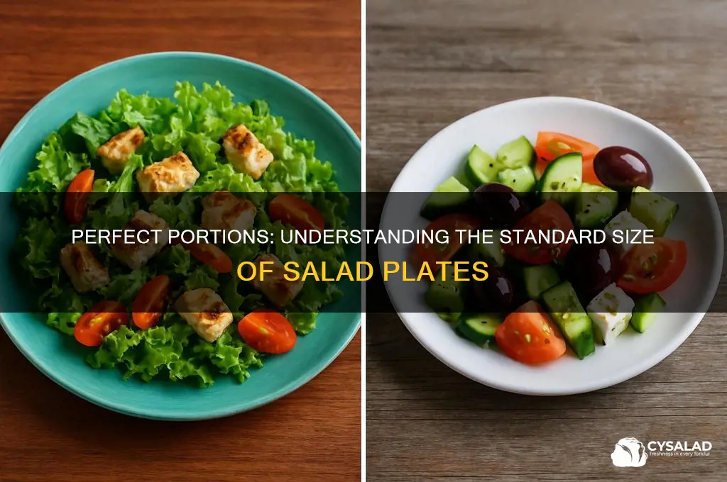 Perfect Portions: Understanding The Standard Size Of Salad Plates | CySalad