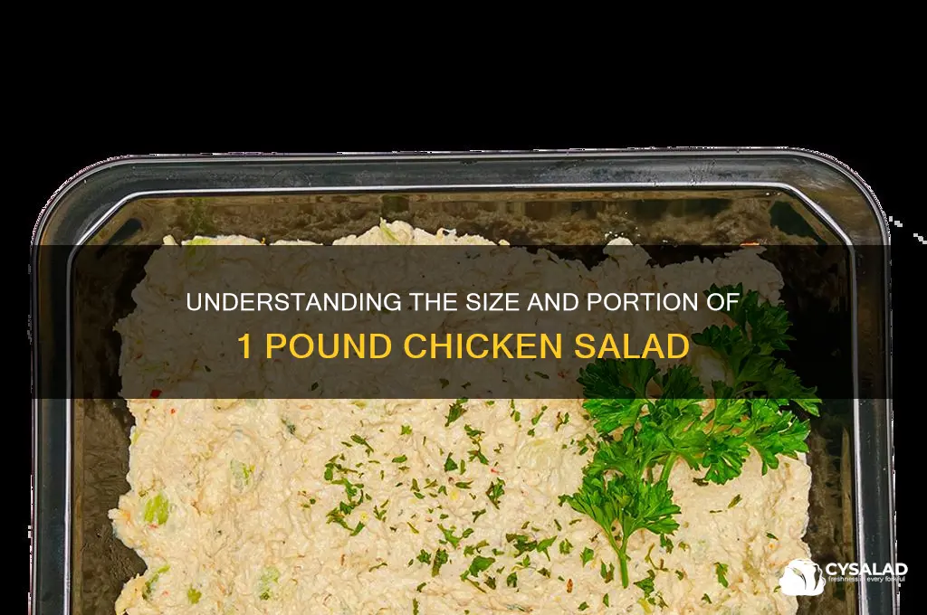 Understanding The Size And Portion Of 1 Pound Chicken Salad | CySalad