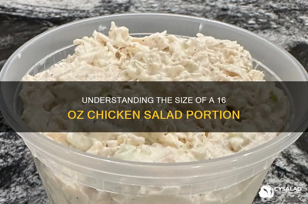 Understanding The Size Of A 16 Oz Chicken Salad Portion | CySalad