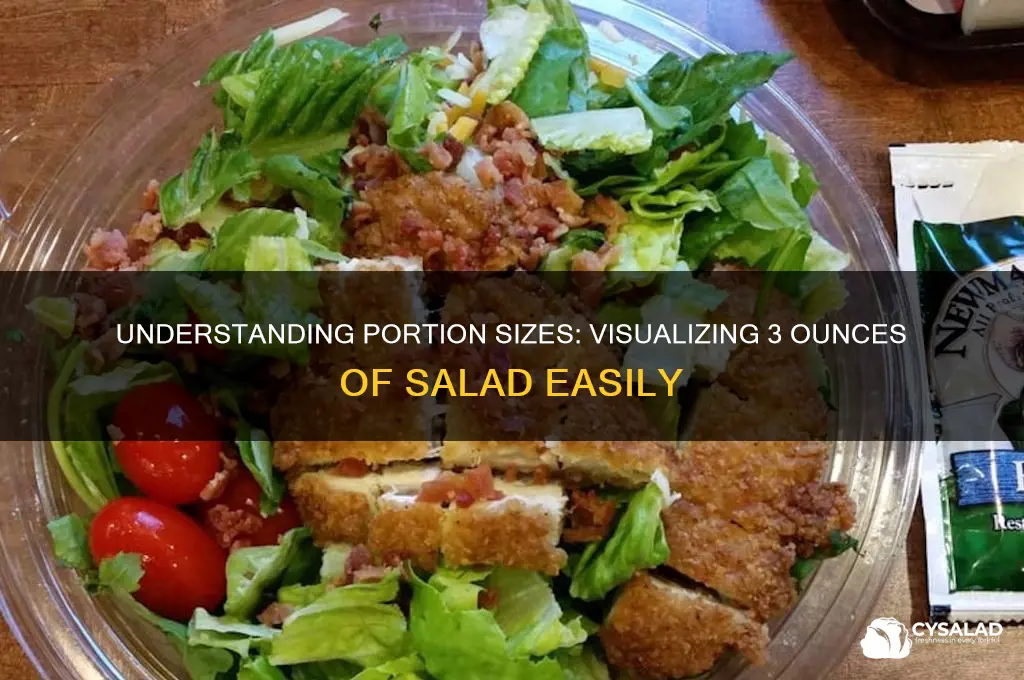 Understanding Portion Sizes: Visualizing 3 Ounces Of Salad Easily | CySalad