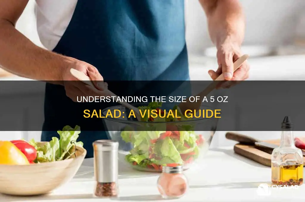 Understanding The Size Of A 5 Oz Salad: A Visual Guide | CySalad