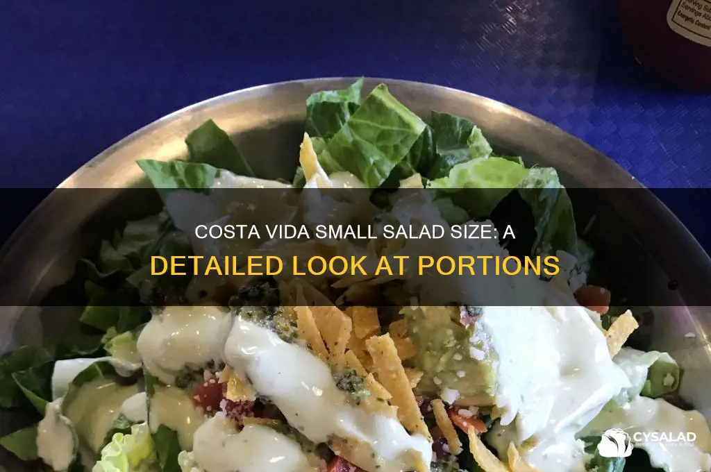Costa Vida Small Salad Size: A Detailed Look At Portions | CySalad