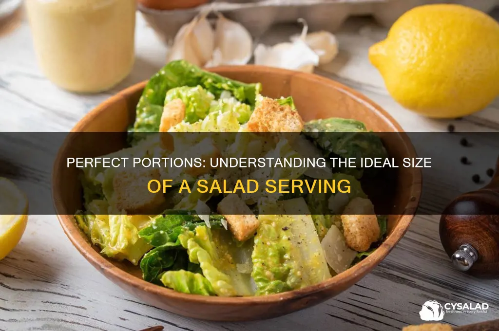 Perfect Portions: Understanding The Ideal Size Of A Salad Serving | CySalad