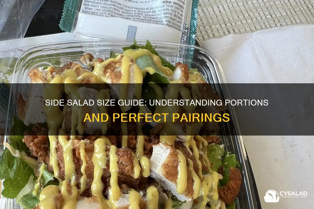 Side Salad Size Guide: Understanding Portions And Perfect Pairings ...