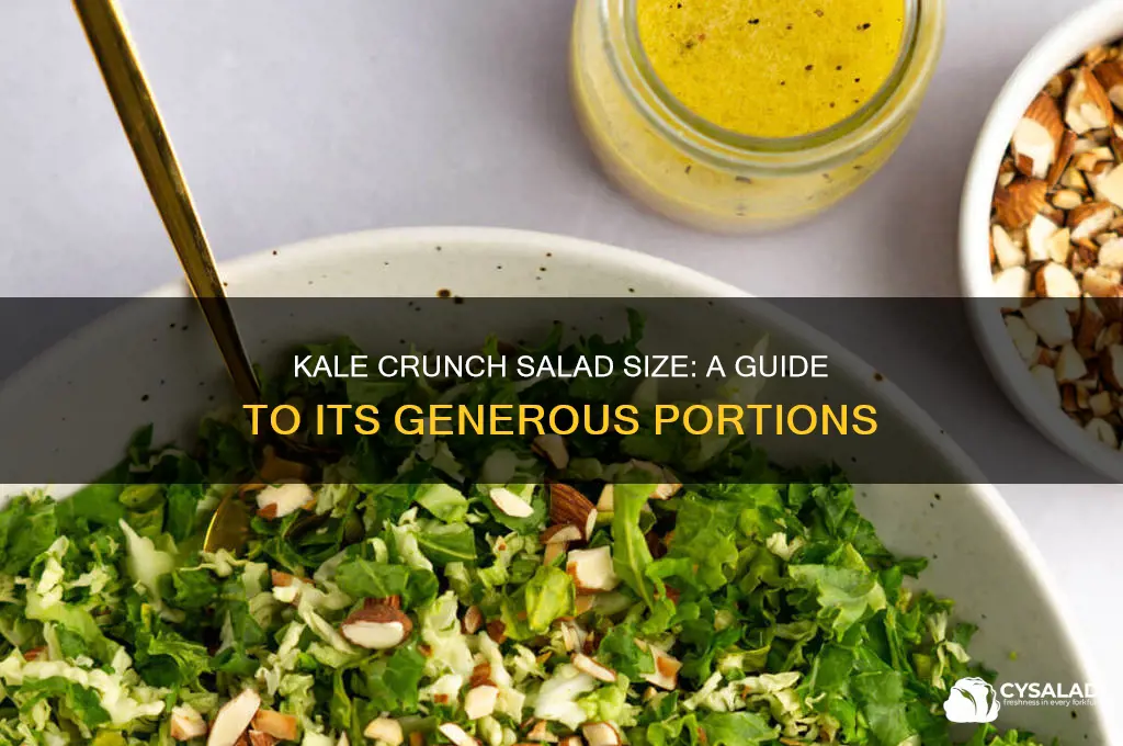 Kale Crunch Salad Size: A Guide To Its Generous Portions | CySalad