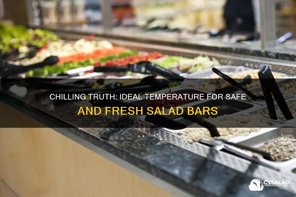 Chilling Truth: Ideal Temperature For Safe And Fresh Salad Bars | CySalad