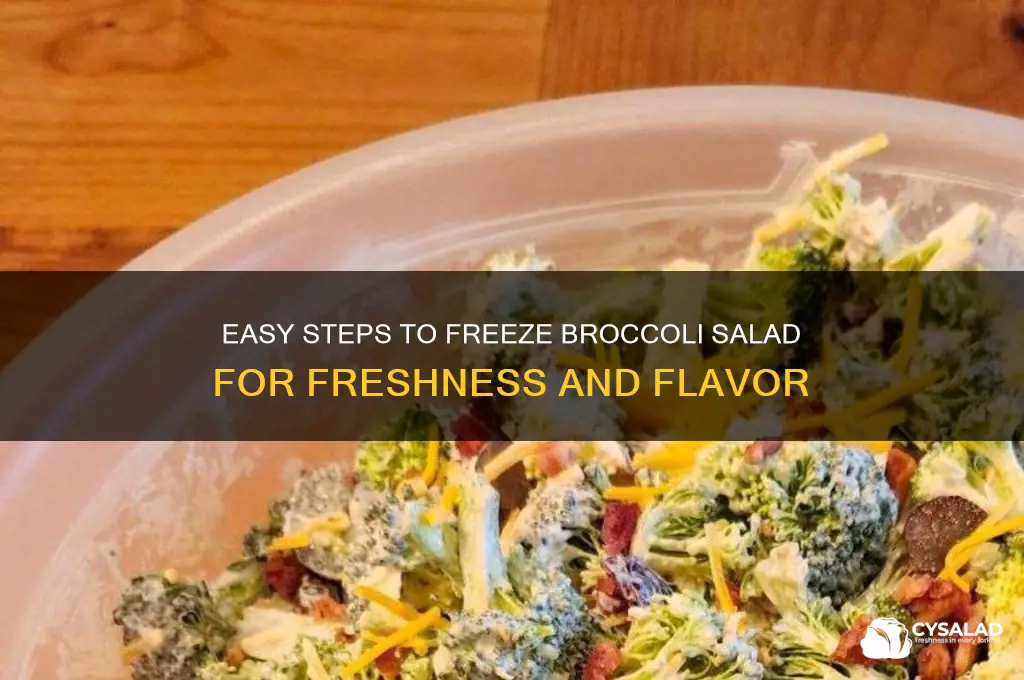 Easy Steps To Freeze Broccoli Salad For Freshness And Flavor | CySalad