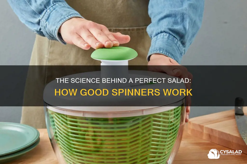 The Science Behind A Perfect Salad: How Good Spinners Work | CySalad