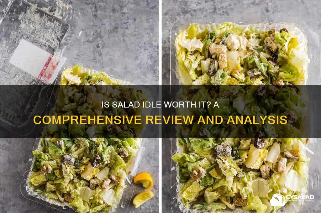 Is Salad Idle Worth It? A Comprehensive Review And Analysis | CySalad